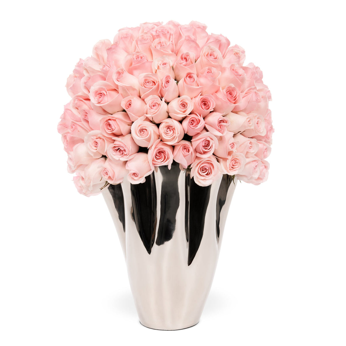 Classic Rose Lady Jane | OnlyRoses - Qatar