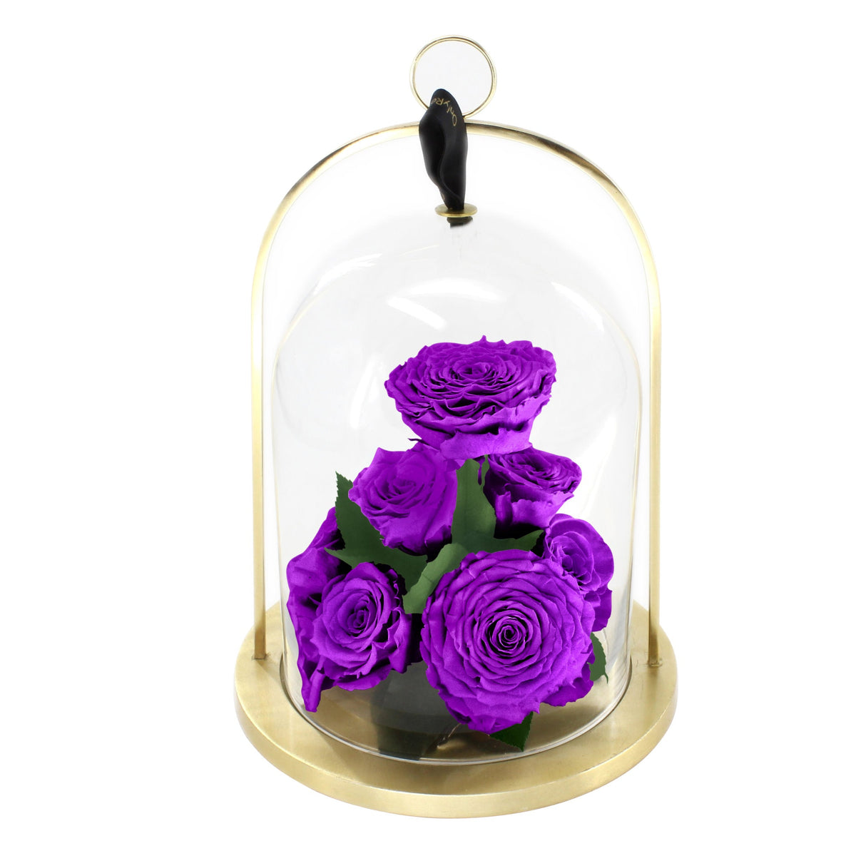 Infinite Rose Lantern Jewel | OnlyRoses - Qatar