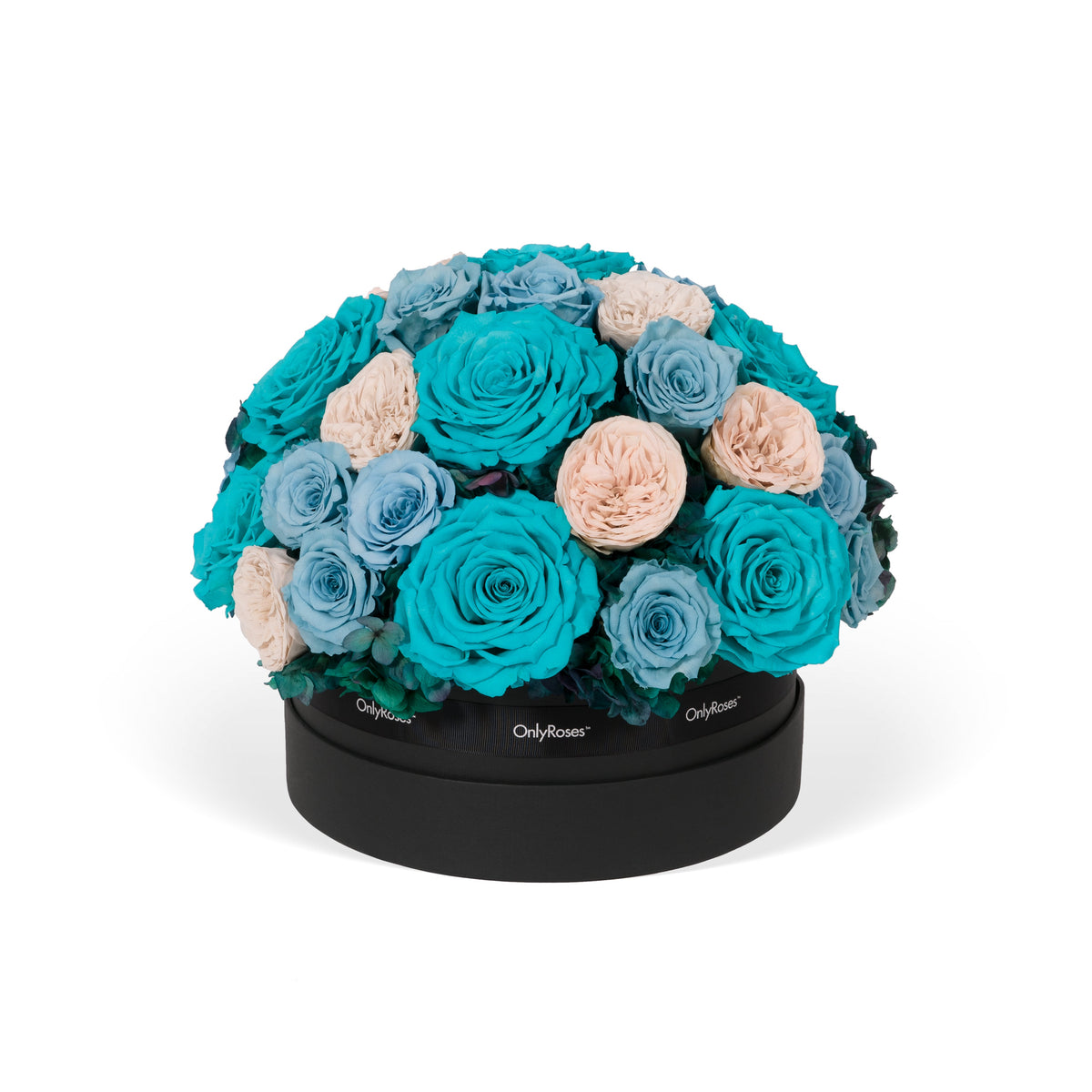 Infinite Rose Boulevard | OnlyRoses Qatar