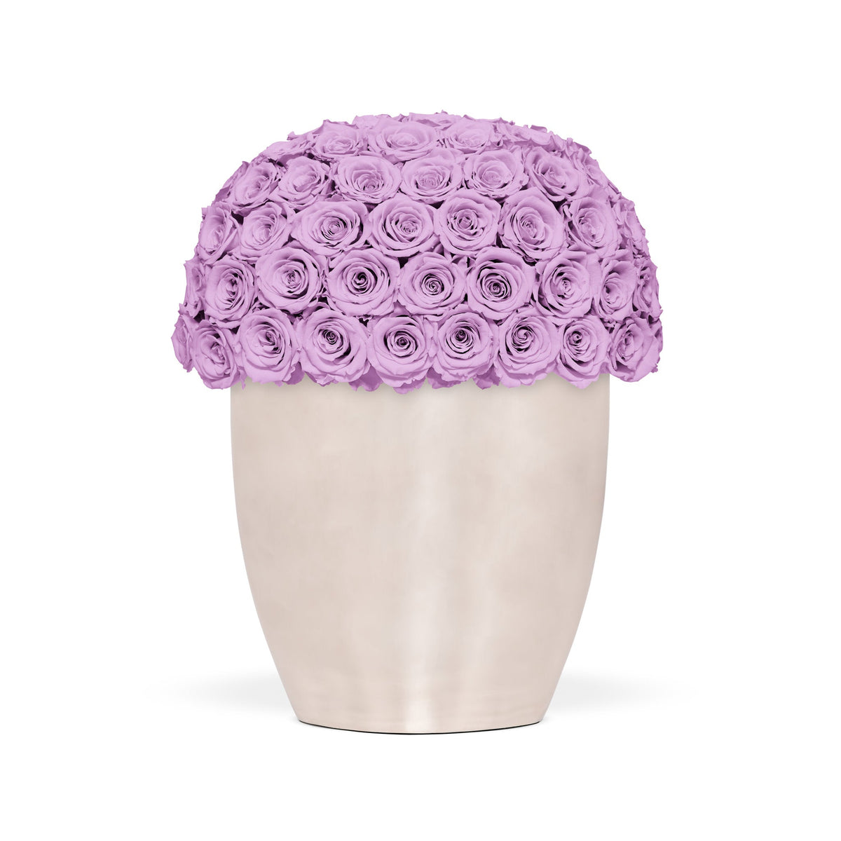 Infinite Roses® | OnlyRoses - Qatar