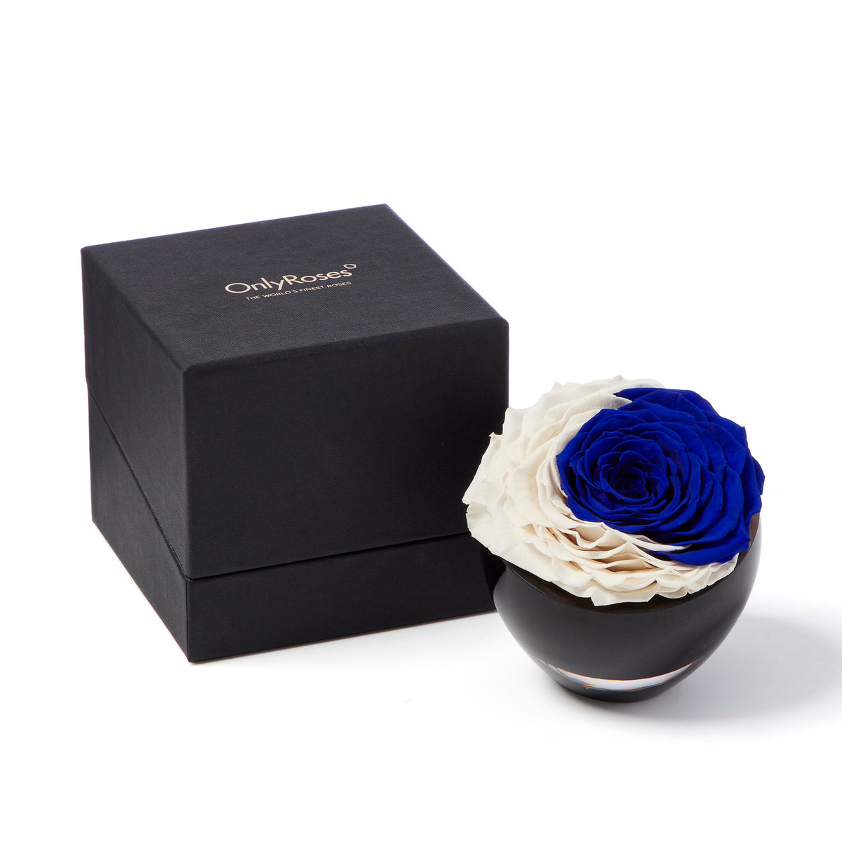 Crescent Moon The Infinite Rose | OnlyRoses - Qatar
