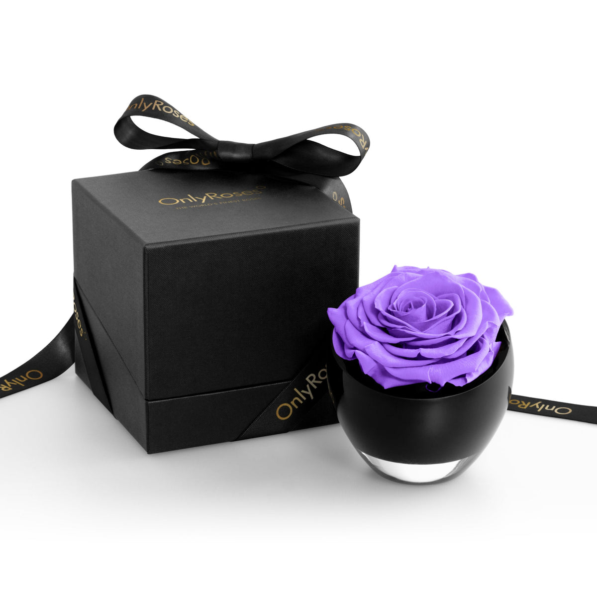 The Infinite Rose | OnlyRoses Qatar