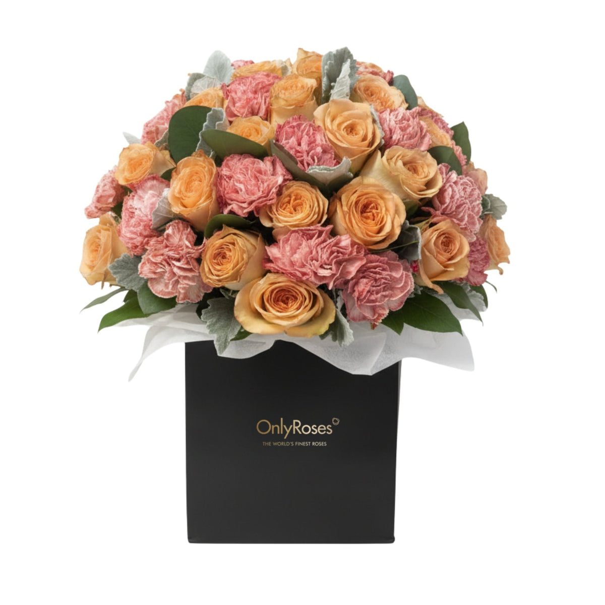 Classic Rose Altura Duet | OnlyRoses - Qatar