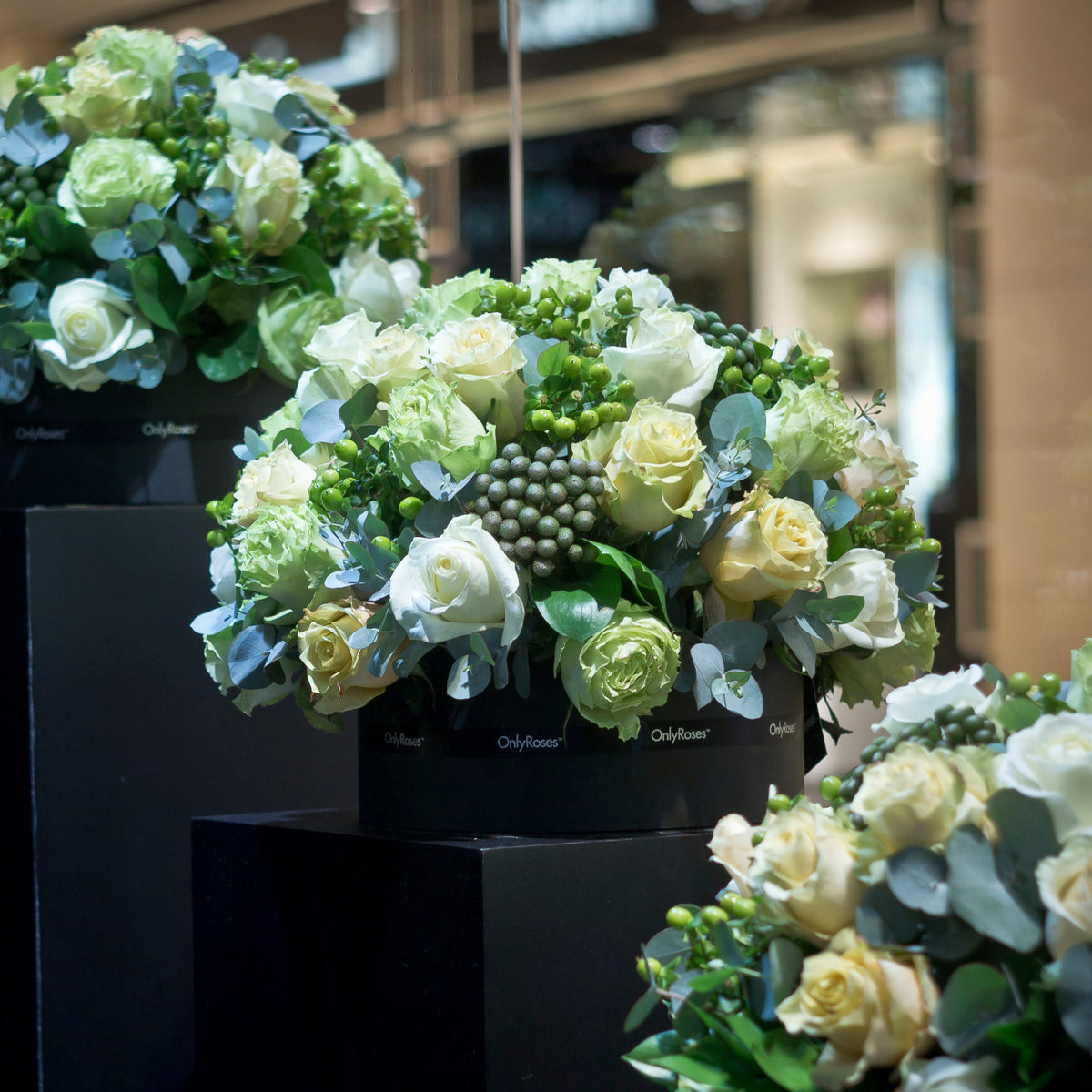 Classic Rose Boulevard | OnlyRoses - Qatar