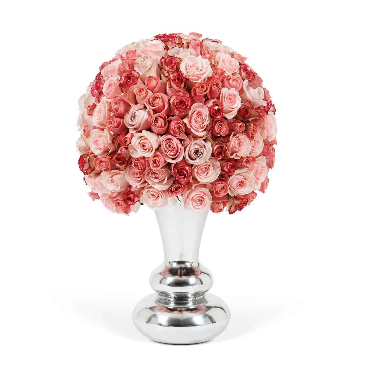 Classic Rose Lady Jane – OnlyRoses - Qatar