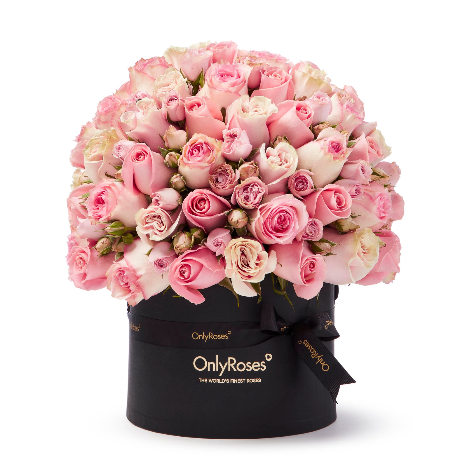 Classic Rose Verano | OnlyRoses - Qatar