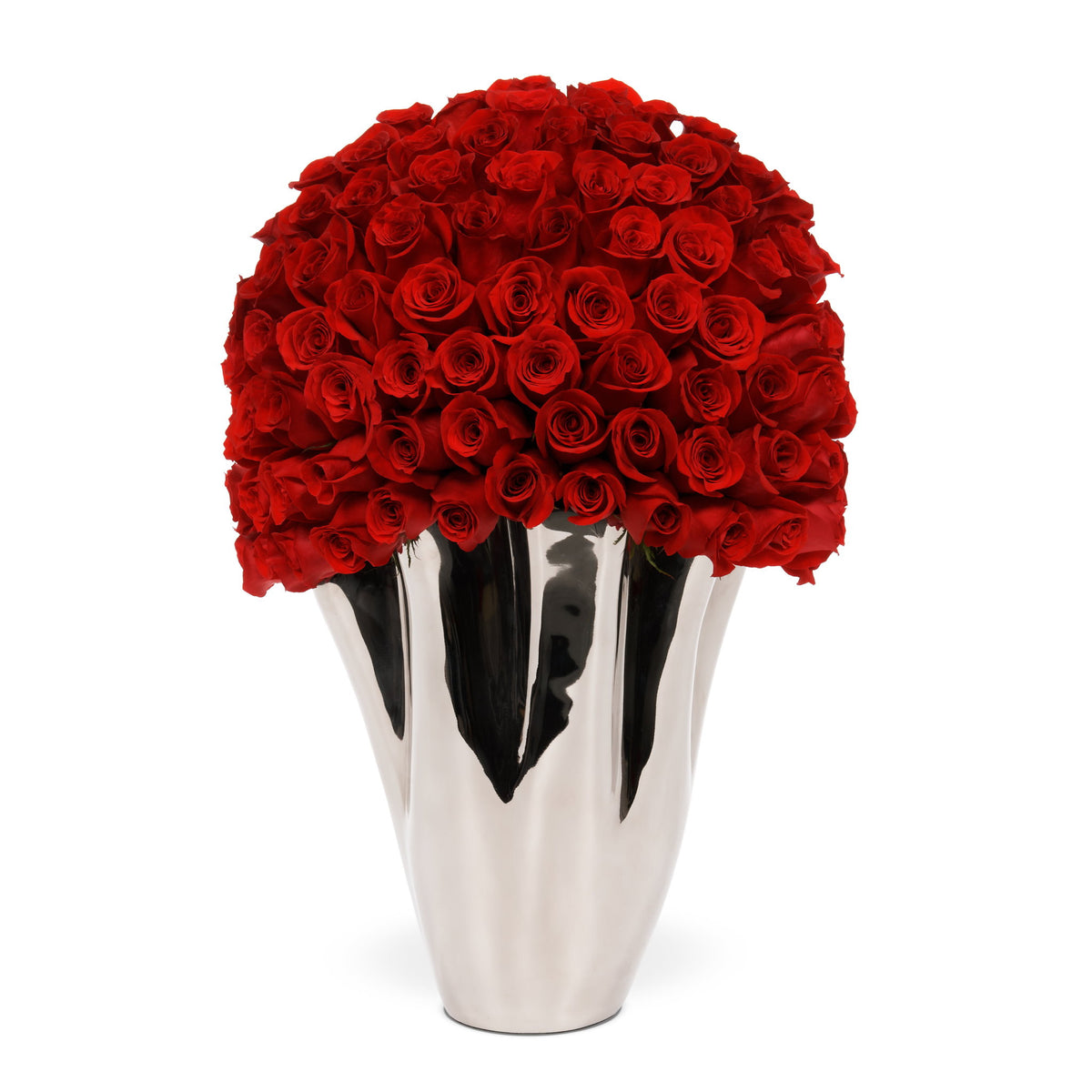 Classic Rose Lady Jane - Red | OnlyRoses - Qatar