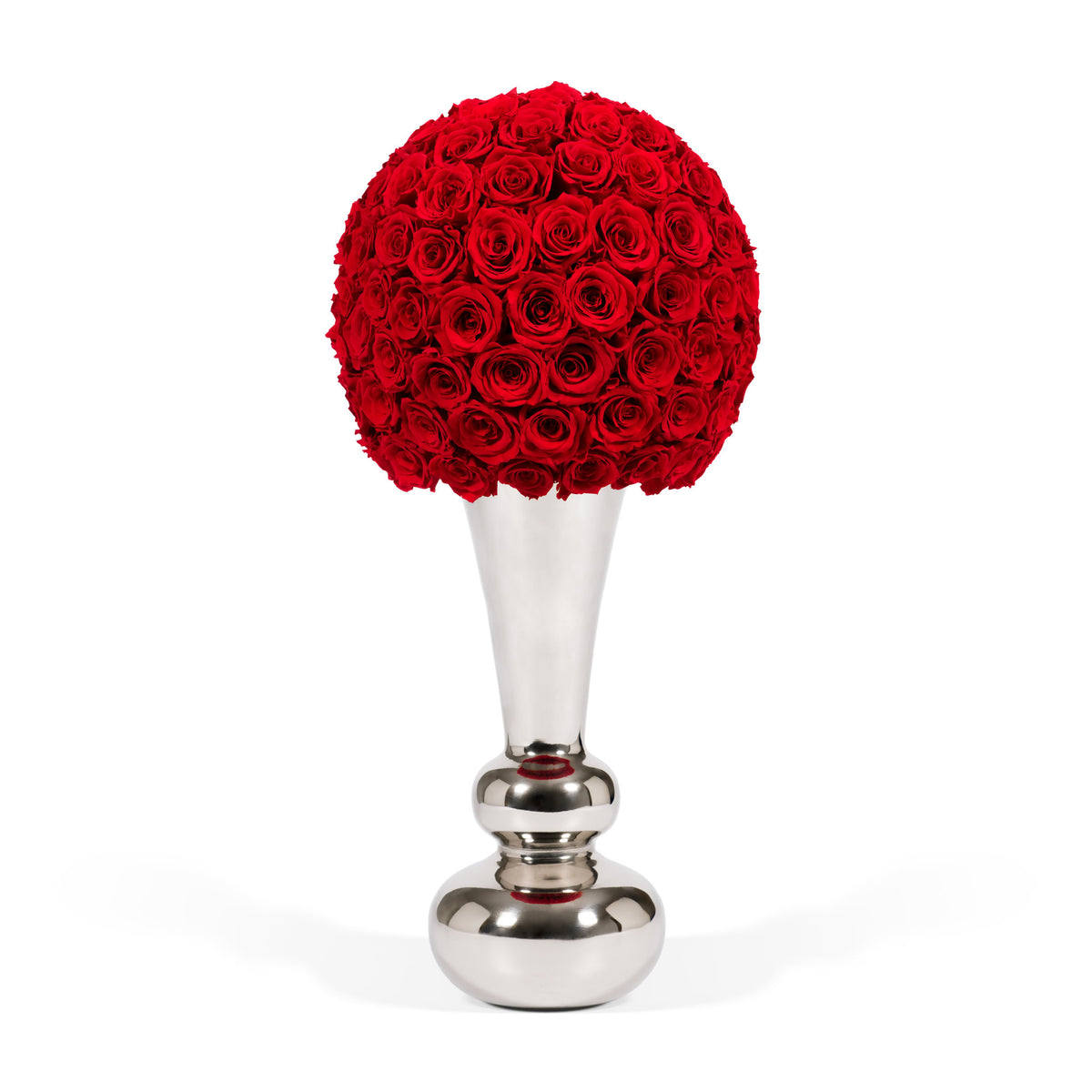 Infinite Rose Aurora - Red Tones | OnlyRoses - Qatar