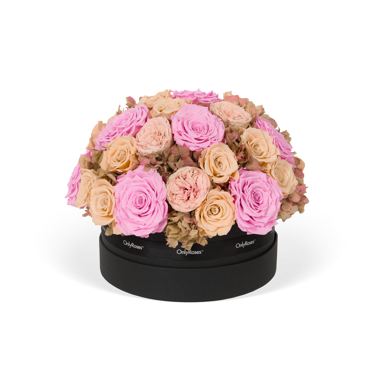 Infinite Rose Boulevard - Champagne & Pink | OnlyRoses - Qatar