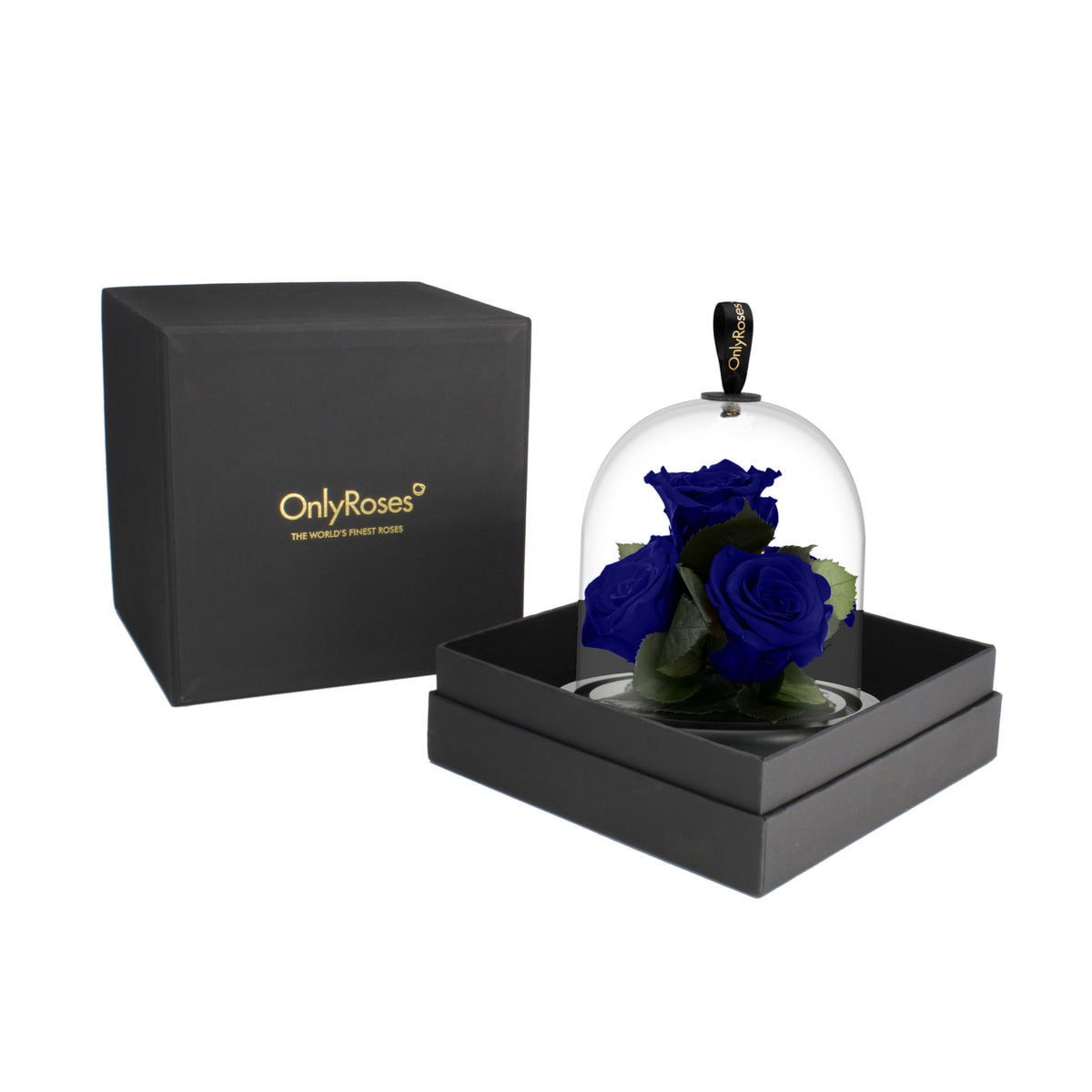 Infinite Rose Gem - Dark Tones | OnlyRoses - Qatar