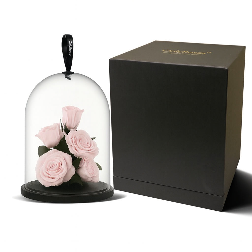 Infinite Rose Jewel - Pastel Tones | OnlyRoses - Qatar