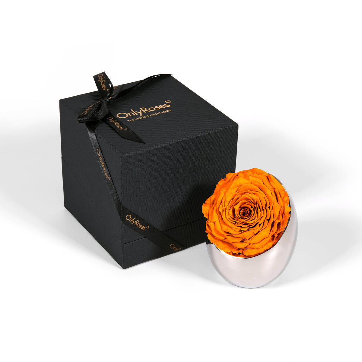 Infinite Rose Luna - Bright Tones – OnlyRoses - Qatar