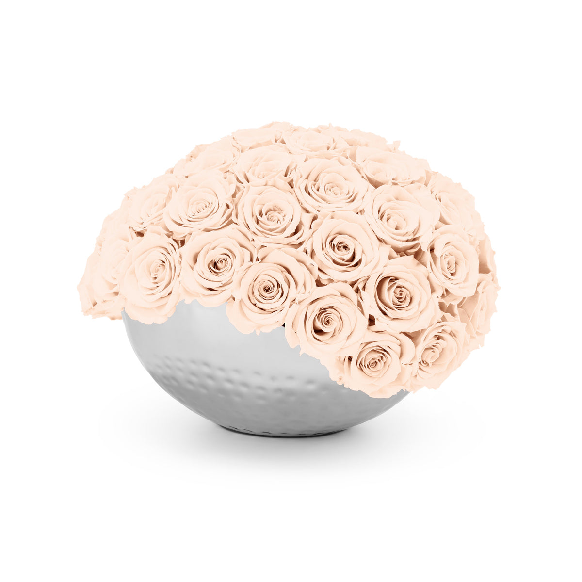 Infinite Rose Ocean - | OnlyRoses - Qatar