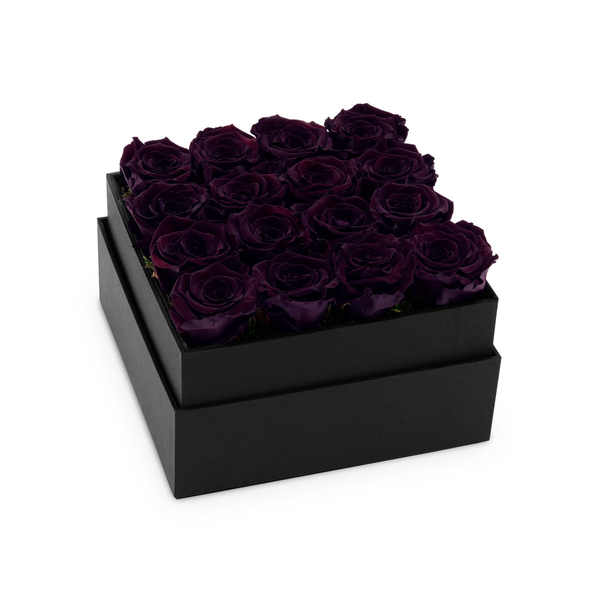 Infinite Rose Plaza - Dark Tones | OnlyRoses - Qatar