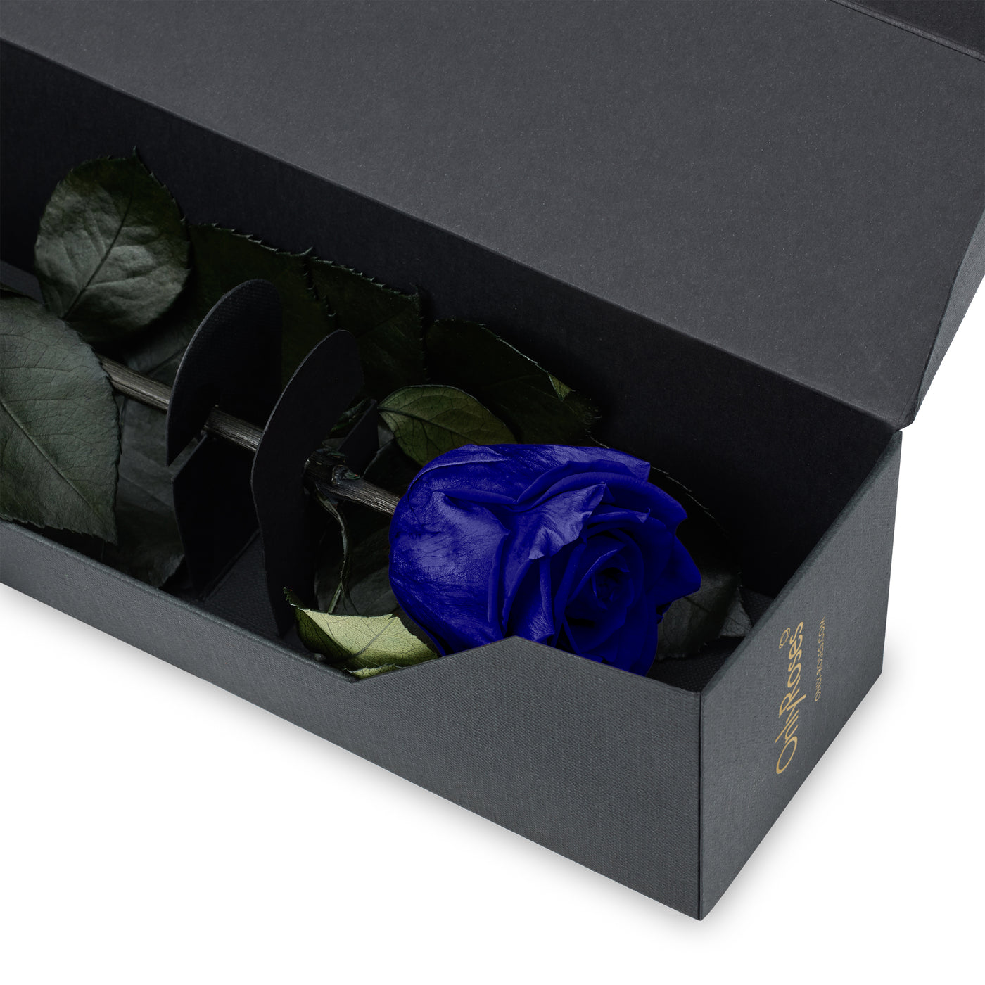 Infinite Statement Rose – OnlyRoses - Qatar