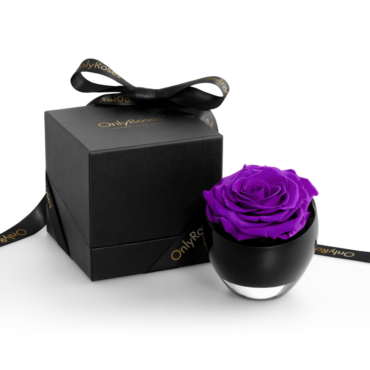 The Infinite Rose® - Bright Tones | OnlyRoses - Qatar